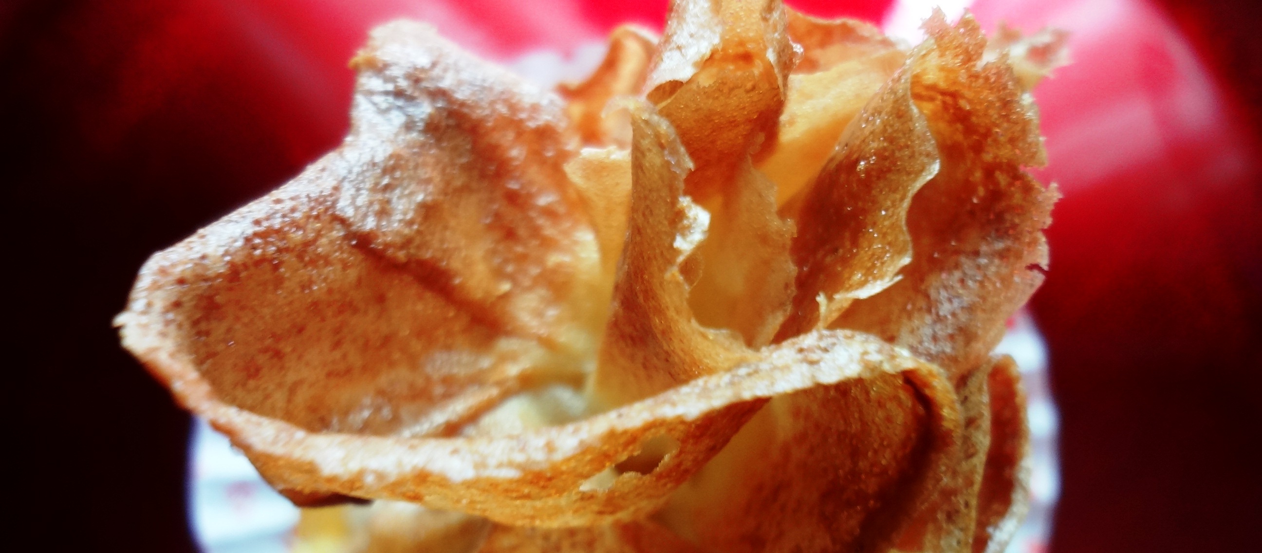 Tapa : «FLOR DE FILO» | CarmYla